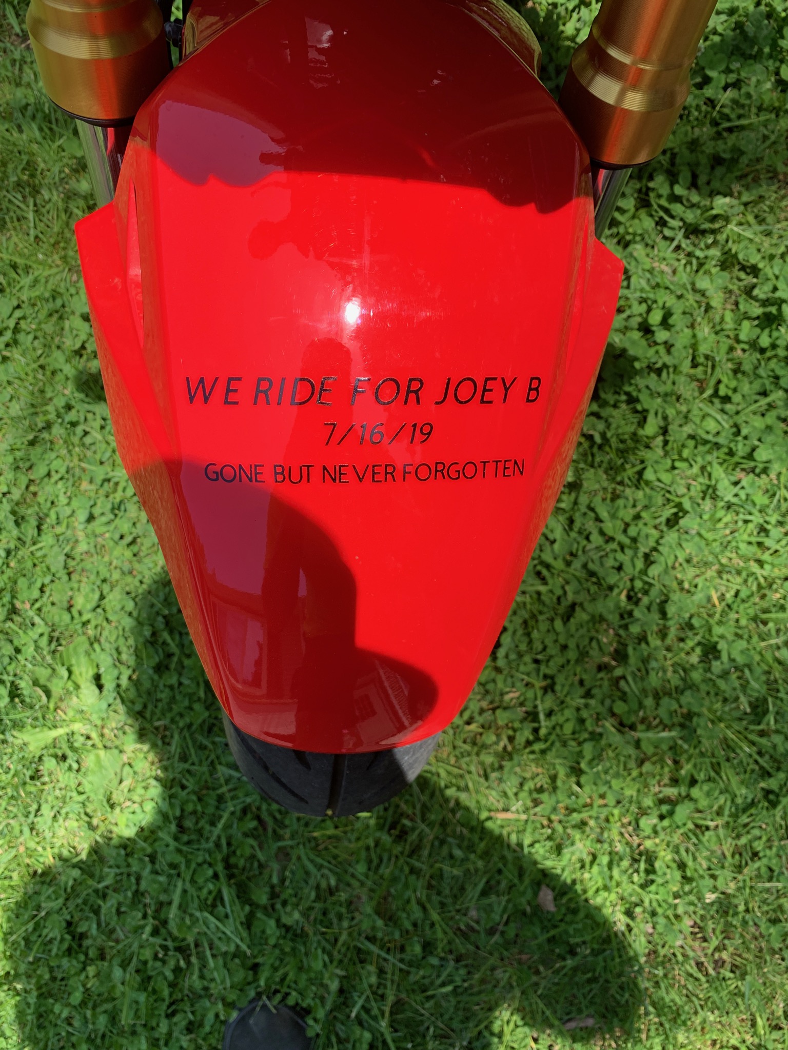 Radical Red: Color your World – Stine Writing