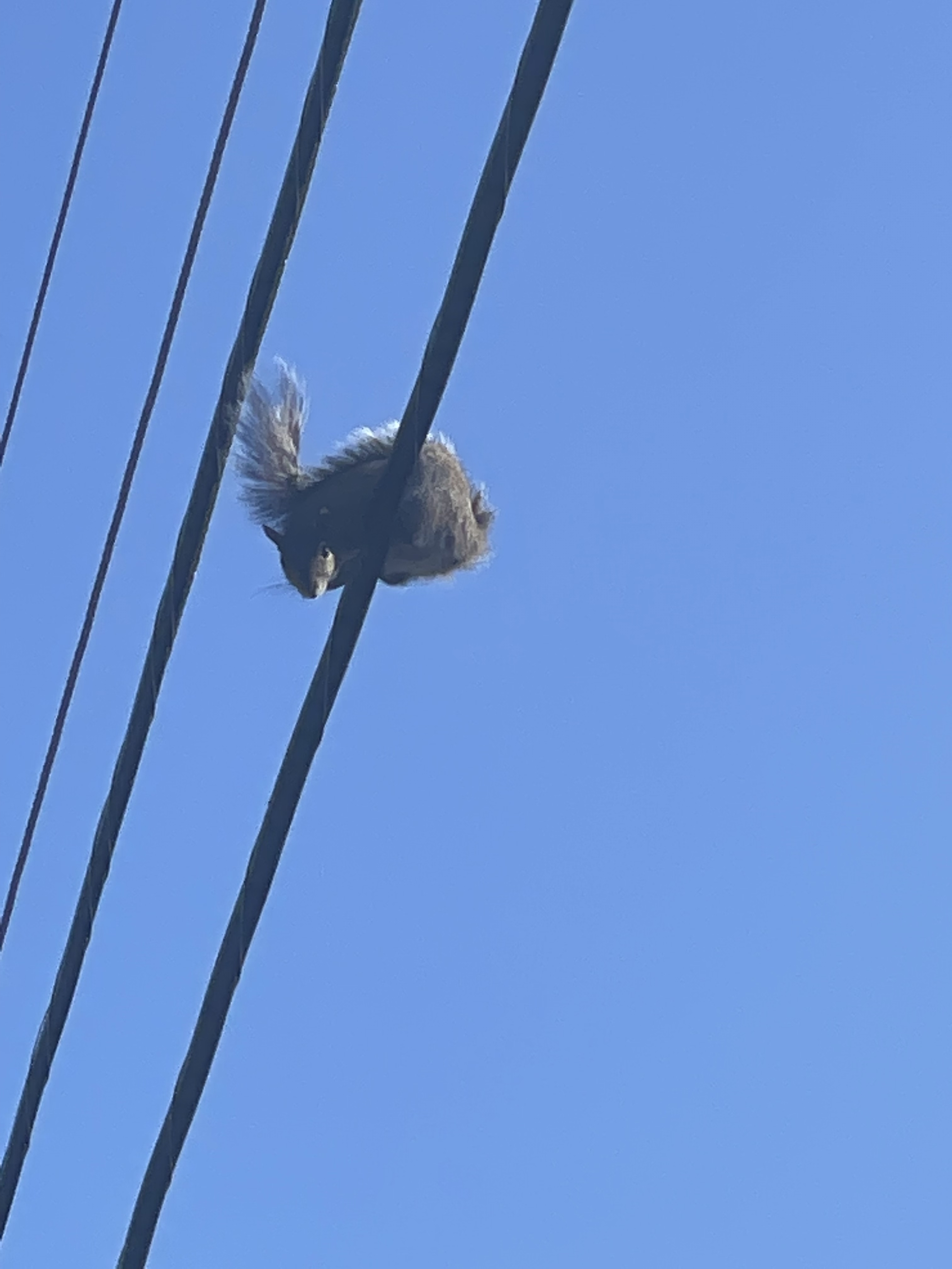 CFFC: Straight Lines – Stine Writing