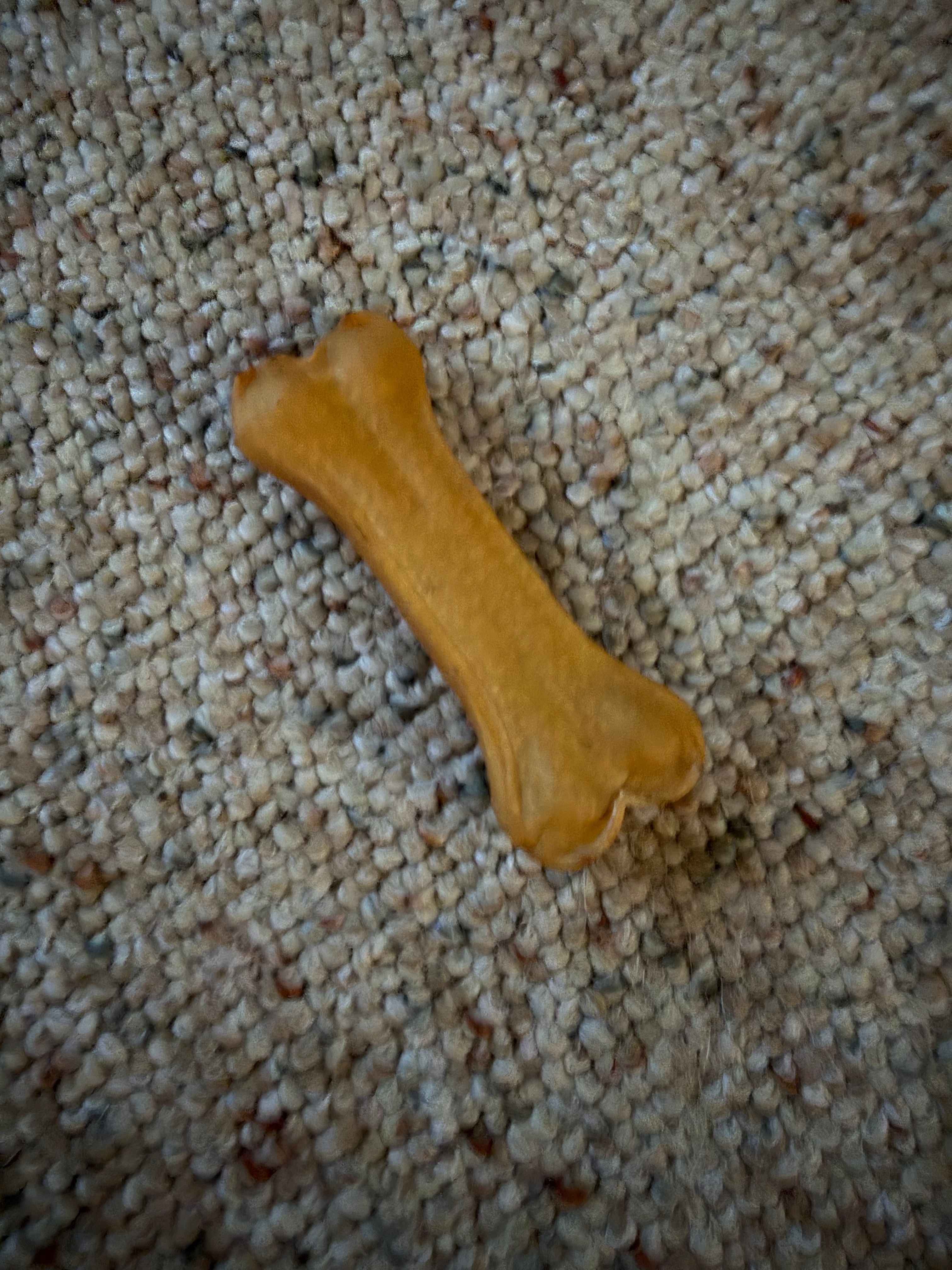 W3 Prompt #202: Wea’ve Written Weekly: Brody’s Bone – Stine Writing